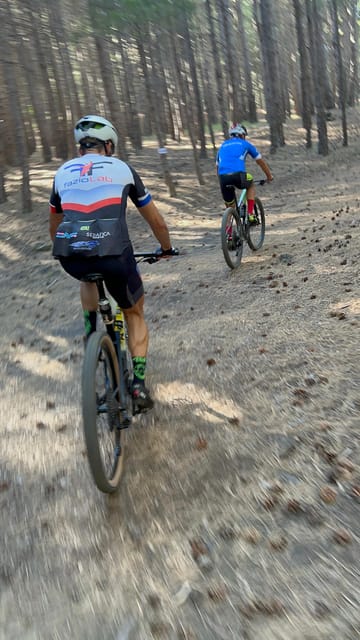 Etna Crater bike tour | GetYourGuide