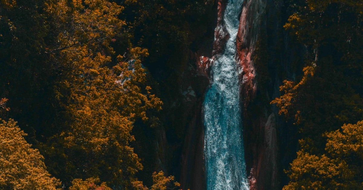 Mussoorie: Excursión de un Día a las Cascadas Kempty, Gun Hill y Lal ...