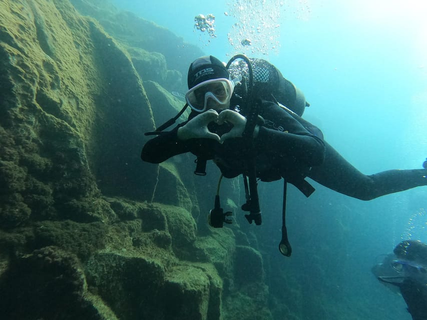 Fun Dive för certifierade dykare på Teneriffa | GetYourGuide
