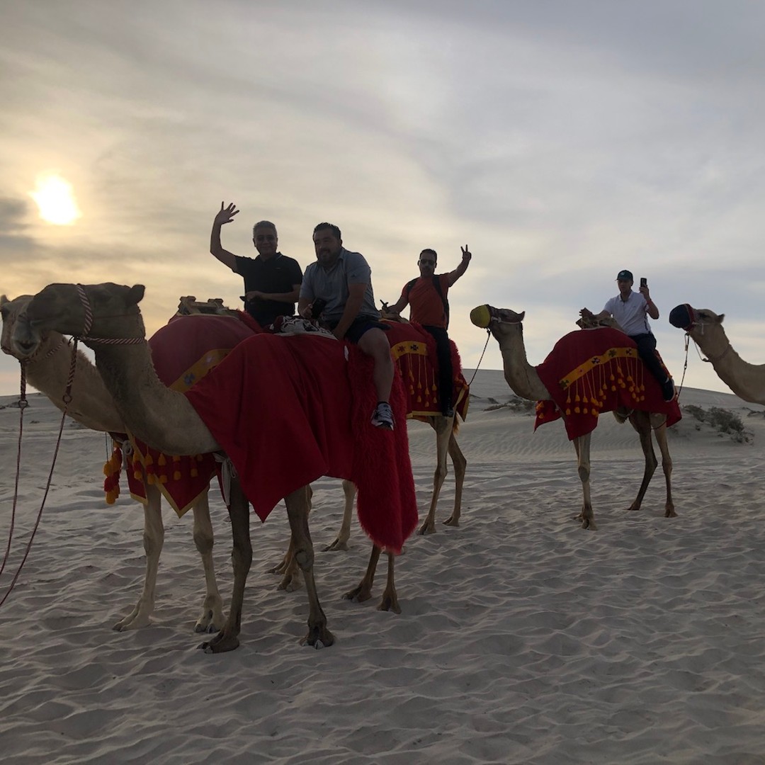 Doha Activities: Desert Safari, Dune Bashing & Inland Sea | GetYourGuide