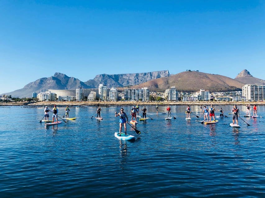 SUP Ocean Tour | GetYourGuide