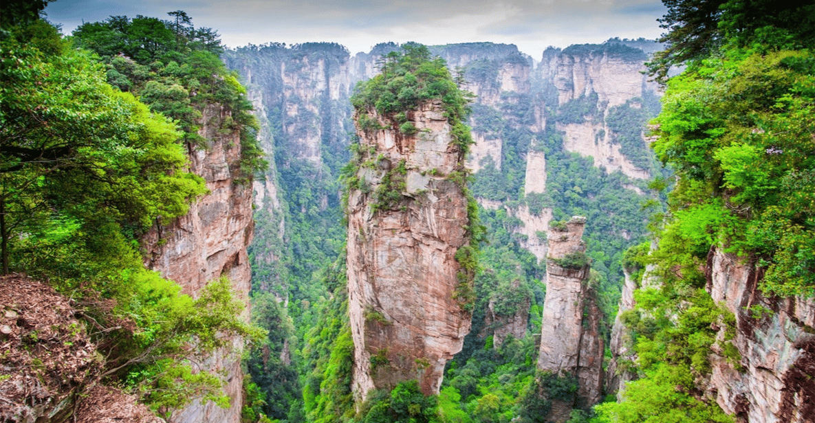 Zhangjiajie: VIP Zhangjiajie National Forest Park Day Tour | GetYourGuide