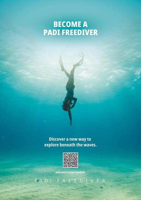 Descubre el buceo libre en la playa de Ligaria | GetYourGuide