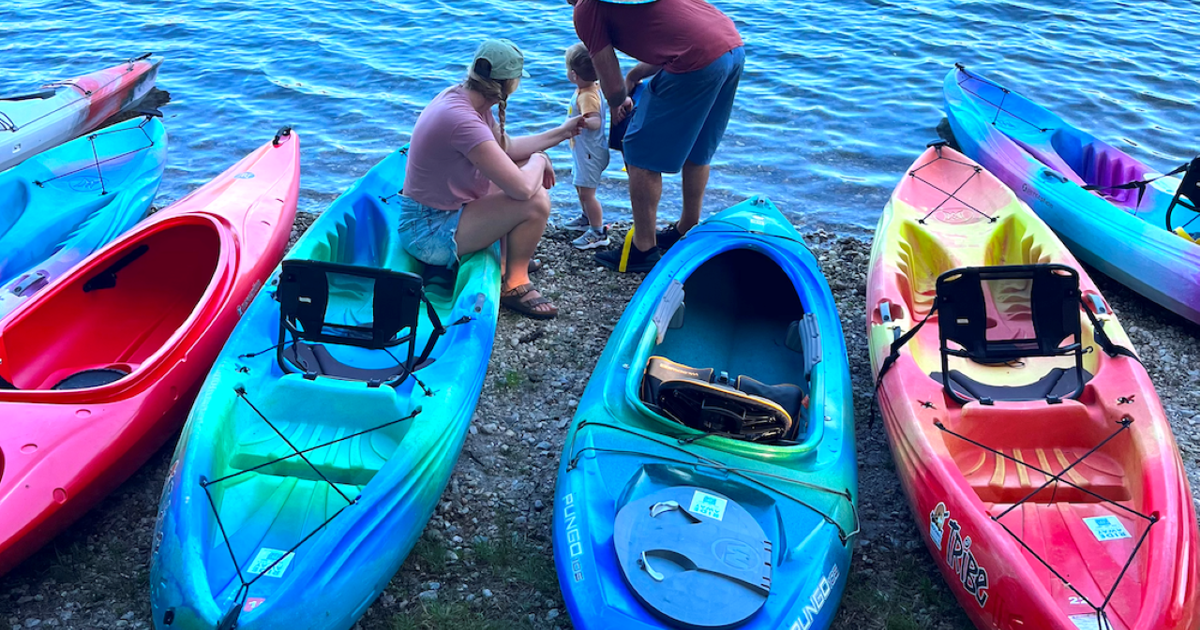 Cape Cod: Kayaking Tour w/ Transportation from Boston | GetYourGuide