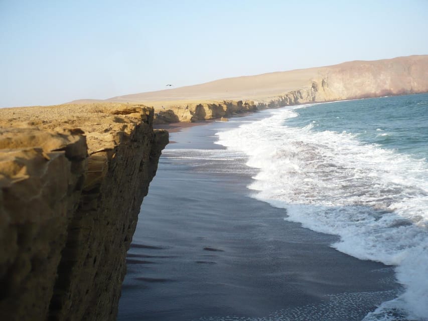 Da Paracas: Tour privati Riserva Nazionale di Paracas | GetYourGuide