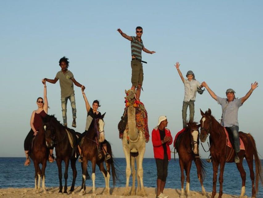 Hurghada : Two Hours Sun & Sea Horse Riding With Transfers | GetYourGuide