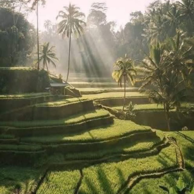 10 Bali Best Optional Tour Packages | GetYourGuide
