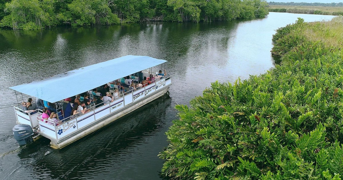 Jamaica: Black River Safari Tour og dagsudflugt til YS Falls | GetYourGuide