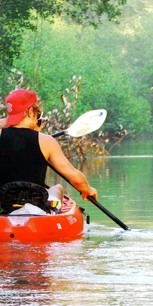 Costa Rica Mangrove Tour: Terraba National Wetlands - Uvita | GetYourGuide