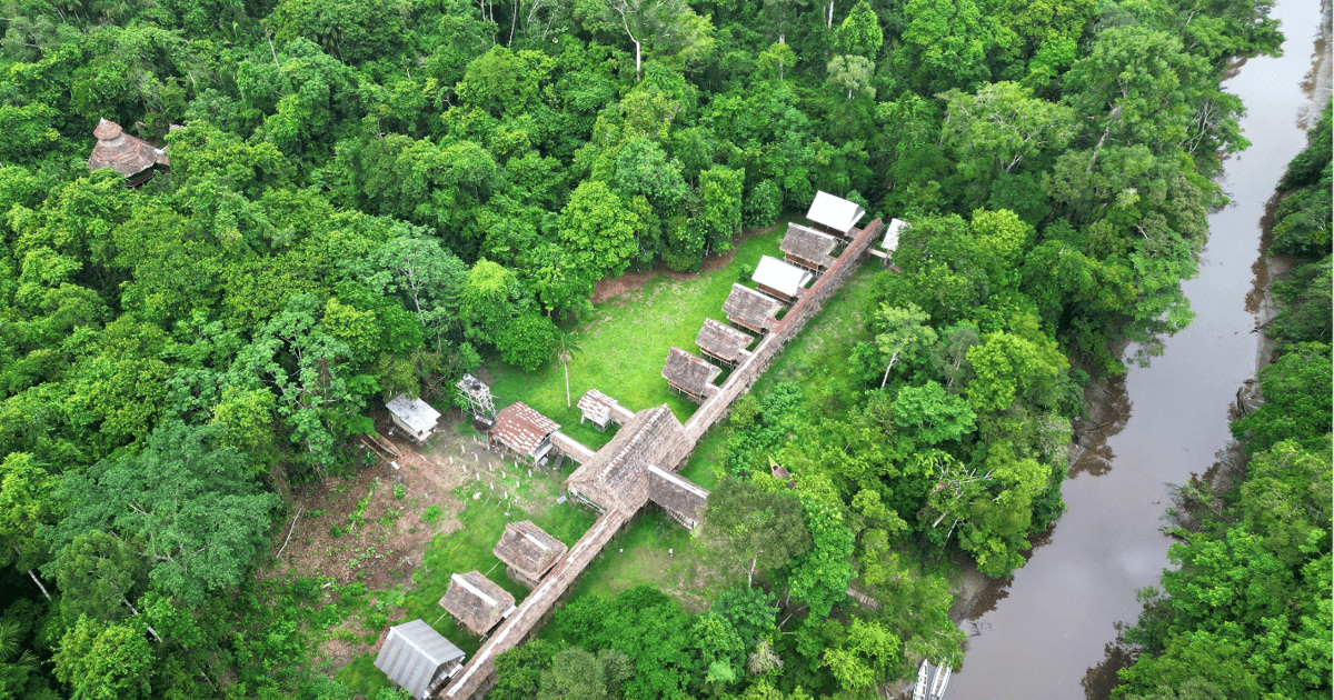 Iquitos: Rondvaarten en wandeltochten door de jungle, Amazonewoud ...