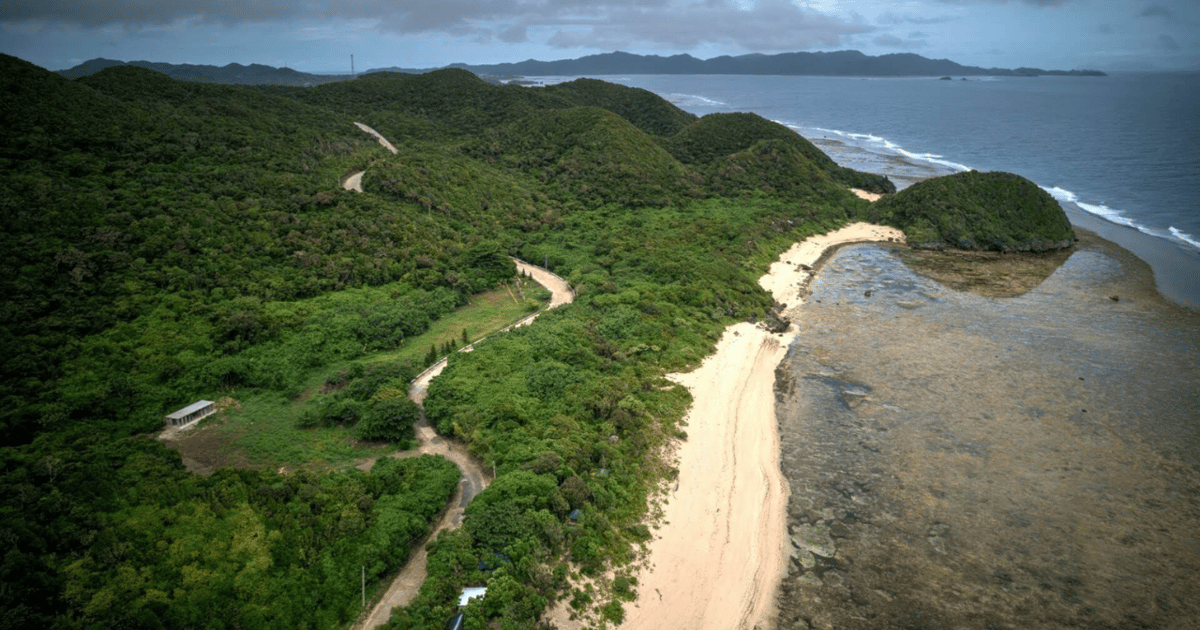 POZO ROBO BEACH & JUNGLE DAY TOUR (Private) | GetYourGuide