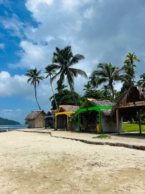 Mamey Island Private tour From Panama City | GetYourGuide