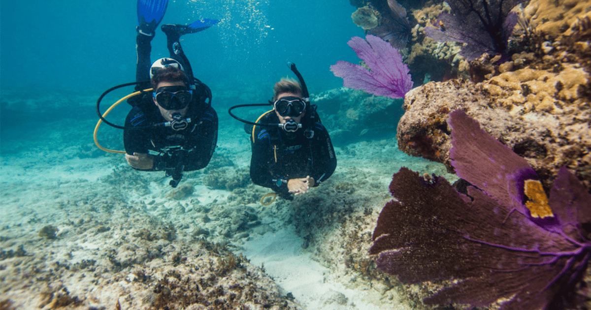 Marmaris: Scuba Diving Experience | GetYourGuide