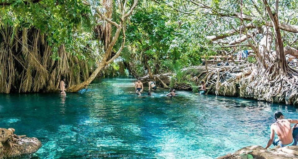 Cascadas de Materuni, Tour del Café y Tour de las Aguas Termales de ...