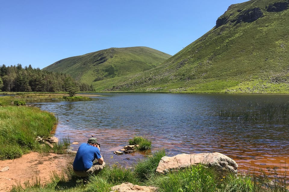 Dingle: HIdden Peninsula Photo And Sightseeing Tour | GetYourGuide