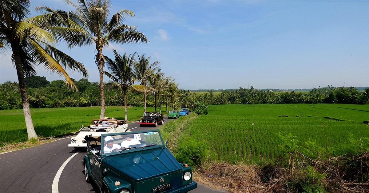 Ubud VW Safari Bali Tour - Viaje en Coche Clásico Volkswagen | GetYourGuide