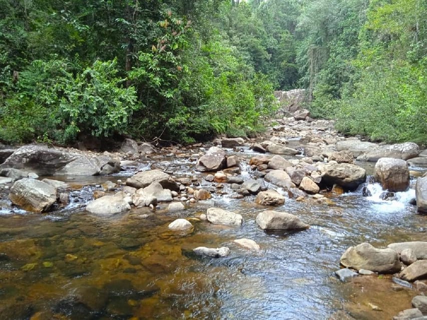 Sinharaja Rainforest Tour | GetYourGuide