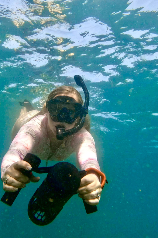 Oahu: Waikiki Jet Snorkeling Tour with Videos and Turtles | GetYourGuide