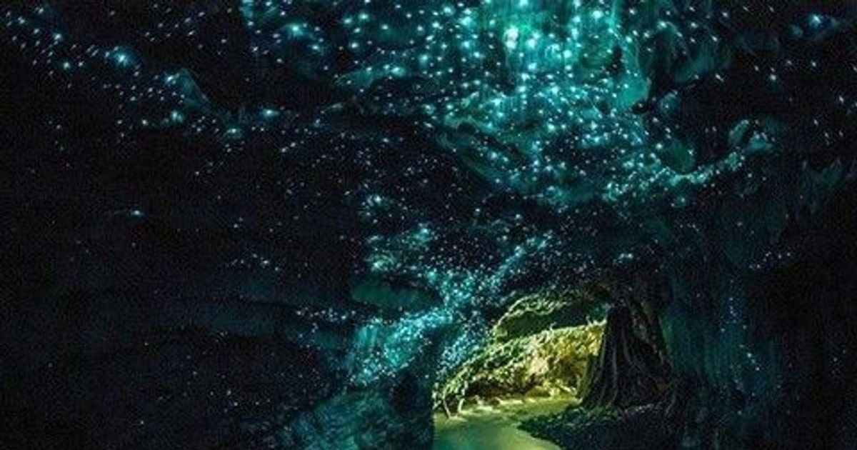 Passeio de um dia às grutas de Waitomo Glowworm em pequenos grupos a ...