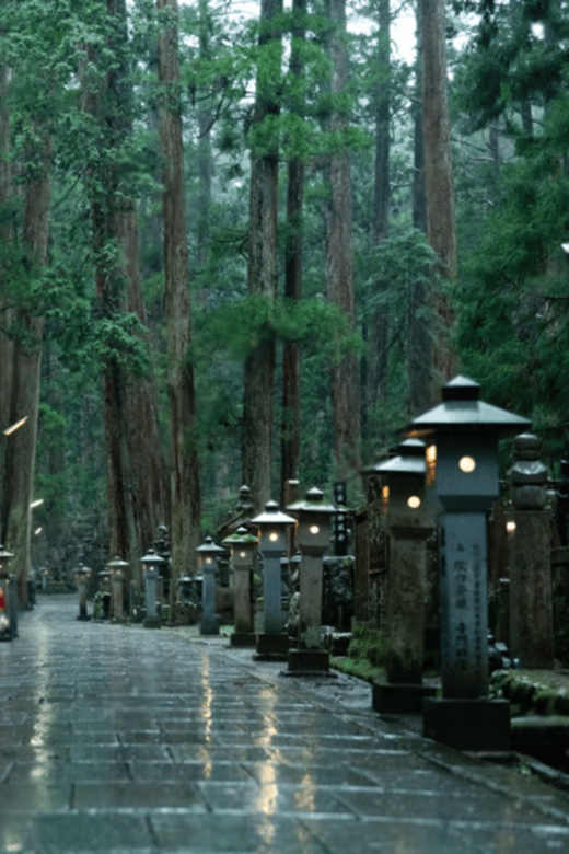 From Osaka/Kyoto:Mount Koya, Wakayama & Nachi Waterfall Trip | GetYourGuide