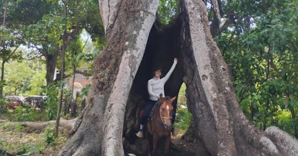 SAN ANDRES: EXTREME HORSEBACK RIDING 3 HOURS TO THE LAGOON | GetYourGuide