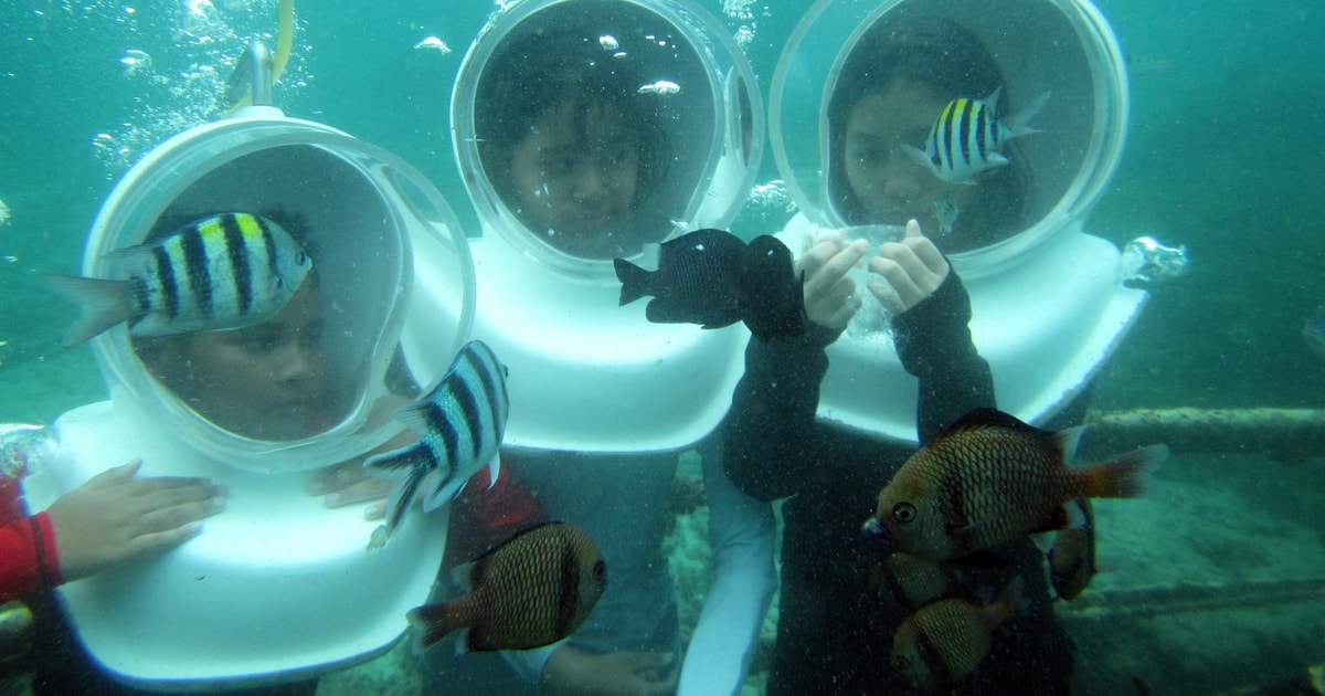 Bali: Fish Sighseeing and Feeding Under Water Experience | GetYourGuide
