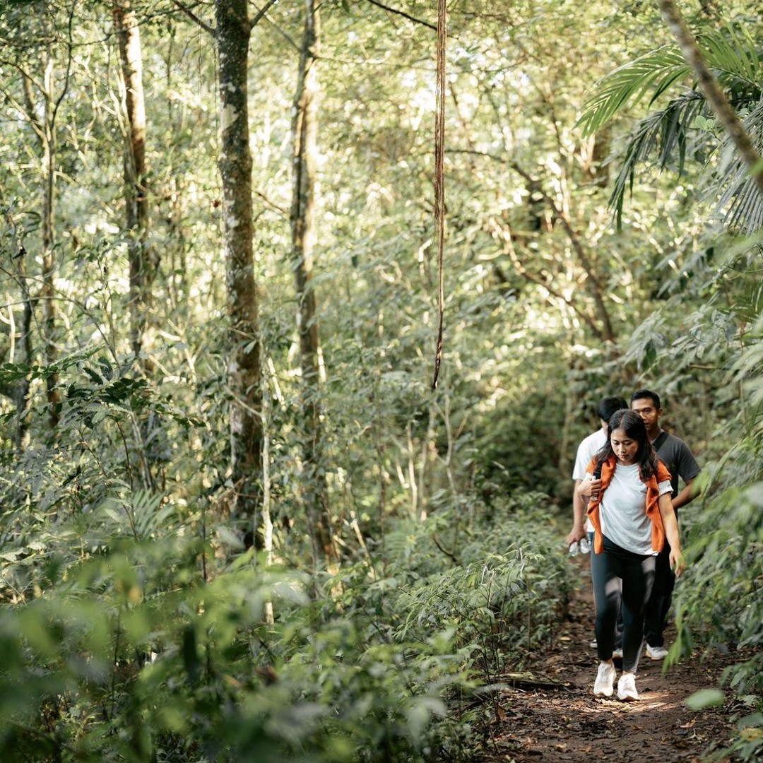 Munduk: Twin Lake Jungle Hike, Ulun Danu Temple, & Waterfall | GetYourGuide
