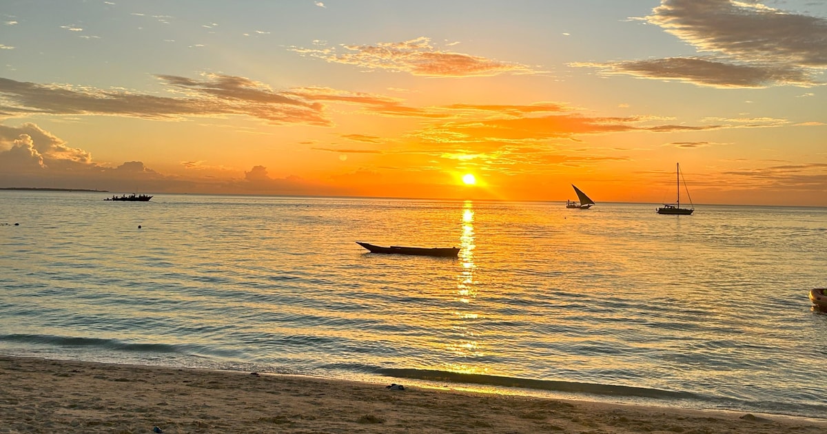 ZANZIBAR : Painting & Art Workshop with Local Artist | GetYourGuide
