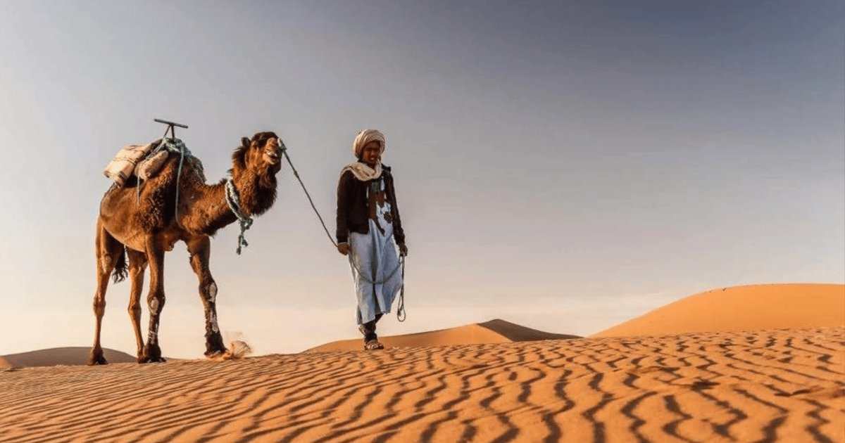 Overnight Desert Safari With BBQ Dinner | GetYourGuide