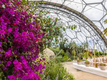 Cornwall: Eden Project Admission Ticket | GetYourGuide