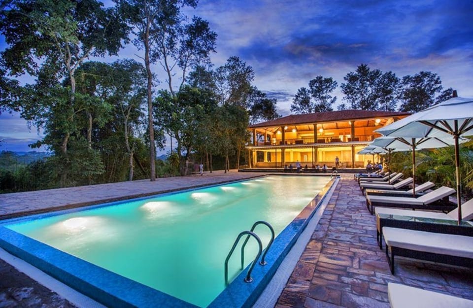 Chitwan jungle safari with National Park Tower Night Stay | GetYourGuide