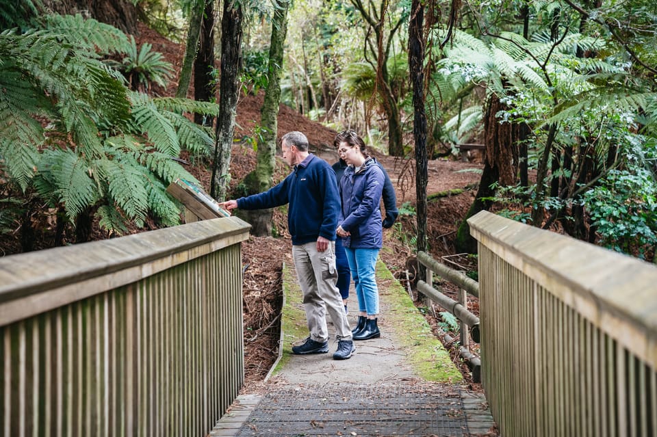 Rotorua: 'Off The Beaten Track' Geothermal Day Tour | GetYourGuide