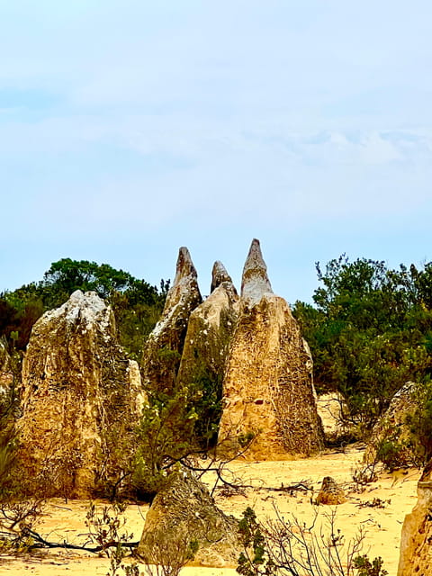 Pinnacles Desert Day Tour | GetYourGuide