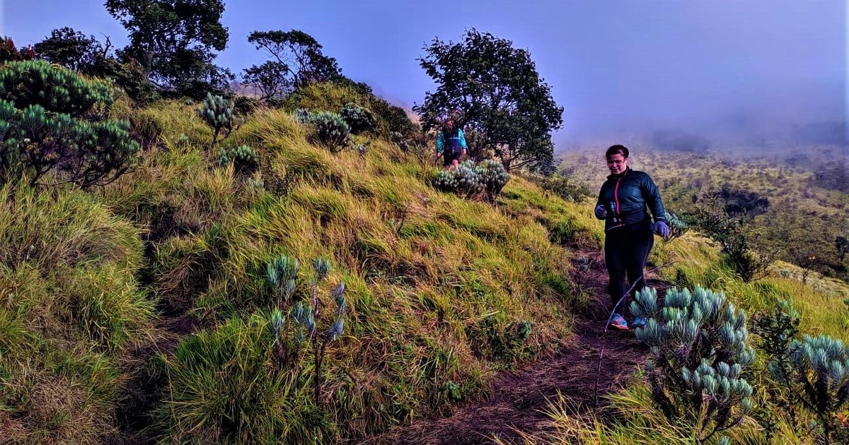 Din Yogyakarta : Muntele Merbabu Excursie de o zi | GetYourGuide
