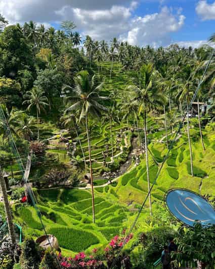 Ubud: Waterfall tour and Cretya day club (Private tour) | GetYourGuide