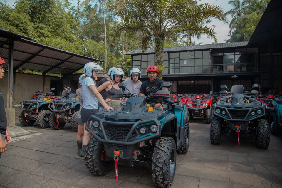 Ubud Paseo en quad 850cc por Alasan Adventure | GetYourGuide