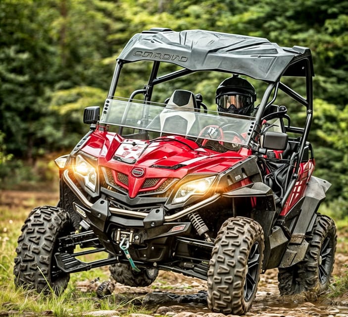 Buggy riding in the palm trees and desert of Marrakesh | GetYourGuide