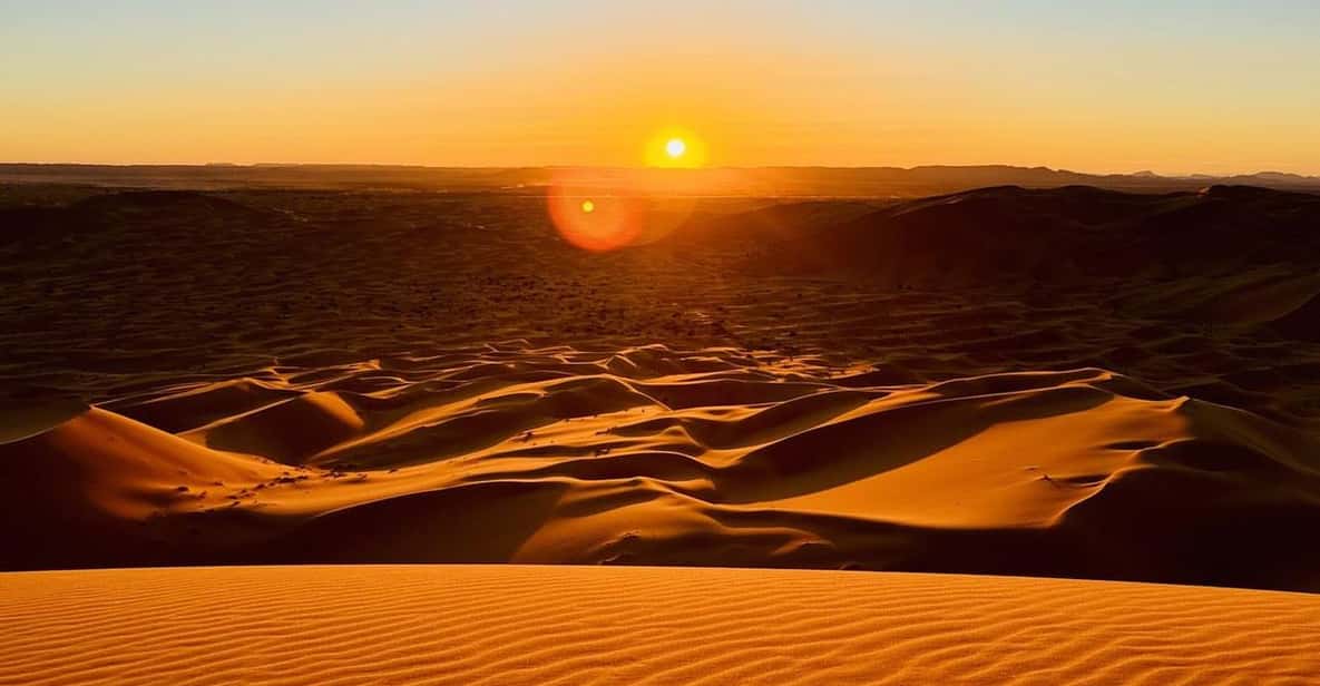Doha : safari de nuit dans le désert avec dîner barbecue | GetYourGuide
