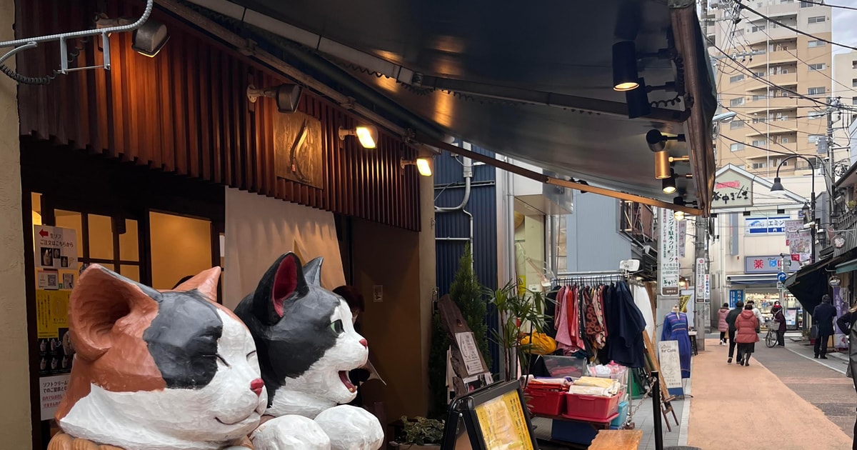 Tokio: Rustige en culturele wandeling door historische gebieden ...