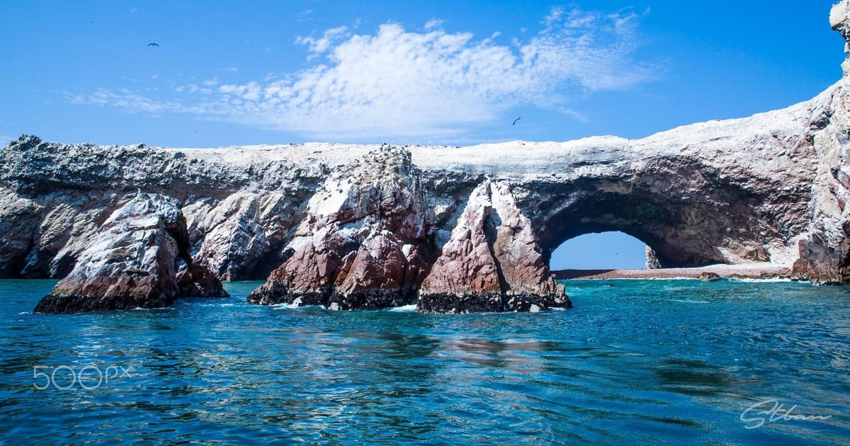 Paracas: tour delle isole Ballestas e della riserva nazionale di ...