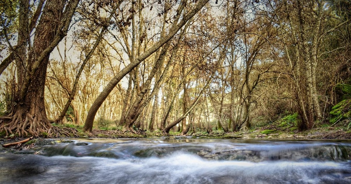 From Seville: Cerro del Hierro private hiking with pic-nic | GetYourGuide