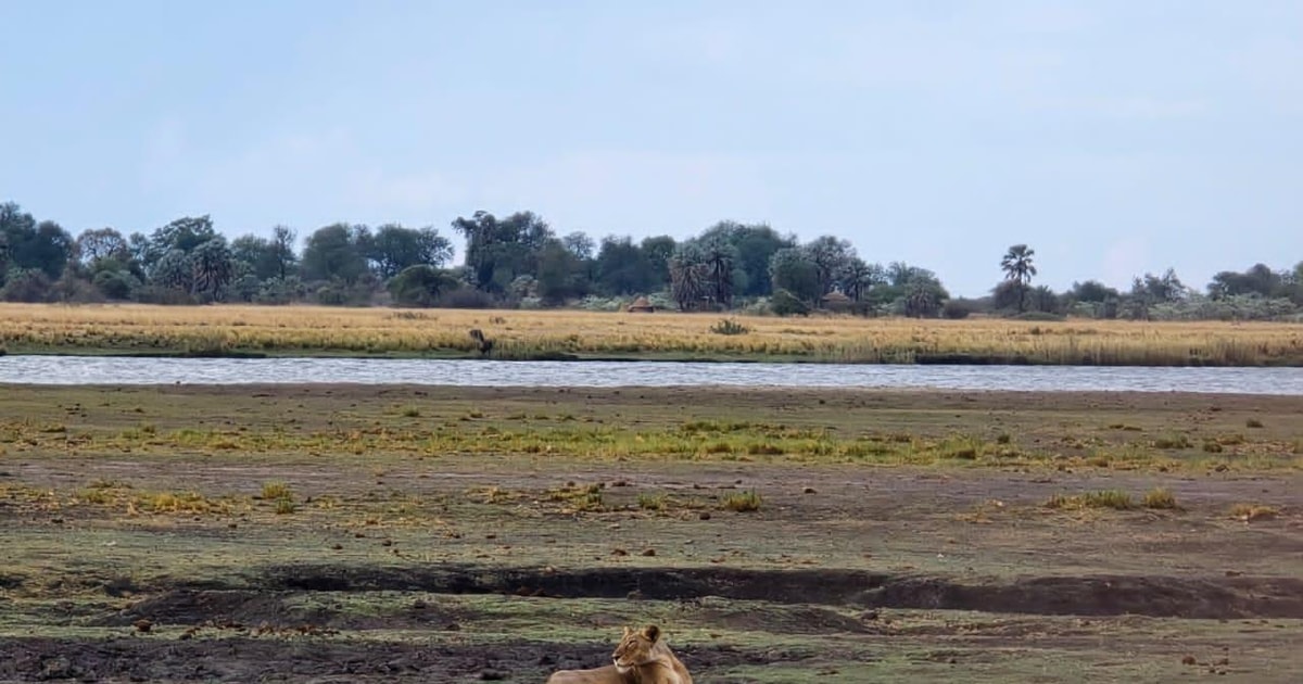 Chobe River Sunset Cruise | GetYourGuide