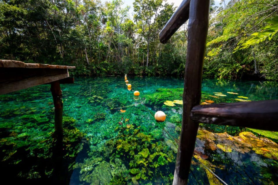 Tulum: Private Tulum Ruins Tour & Mayan Village Adventure | GetYourGuide