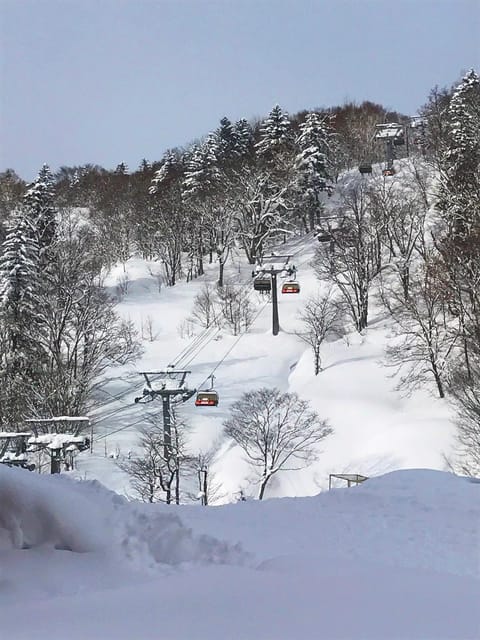 Hokkaido Sapporo Skiing 1 Day Tour-Sapporo Kokusai Ski Resor | GetYourGuide