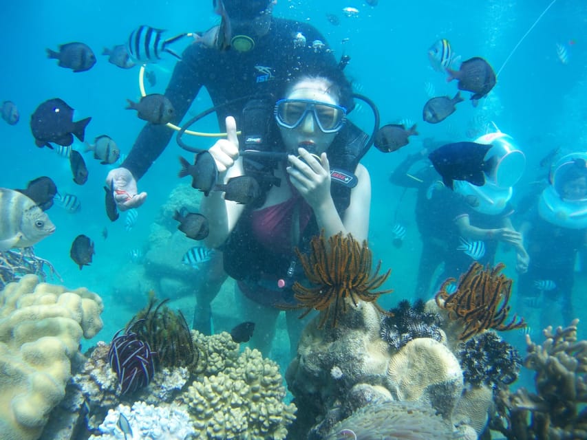 Red River Tour - Scuba Diving At Roi Island Phu Quoc | GetYourGuide