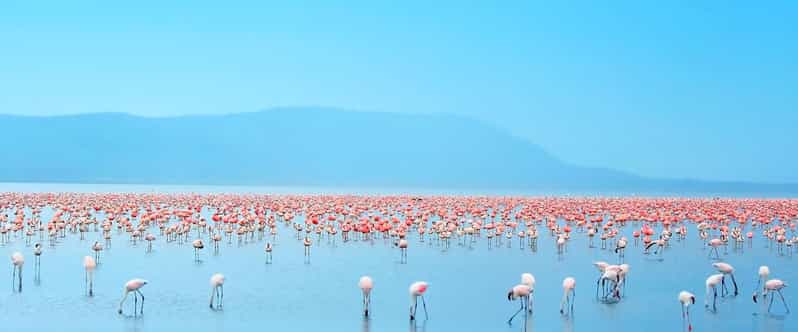 Le parc national du lac Nakuru : les points forts de la vie sauvage ...