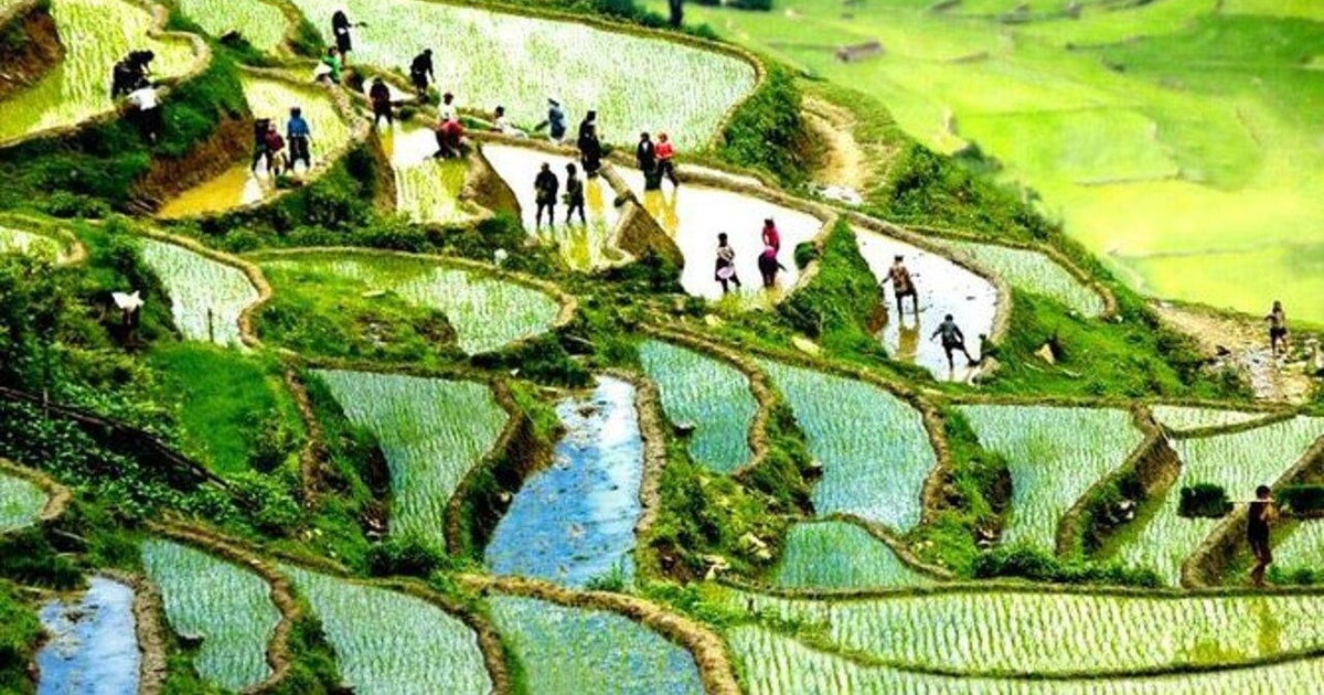 From Hanoi: Sapa 3 days Lao Chai- Ta Van-Giang Ta Chai | GetYourGuide