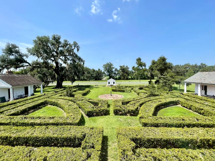 Evergreen Self Drive Plantation Tour | GetYourGuide