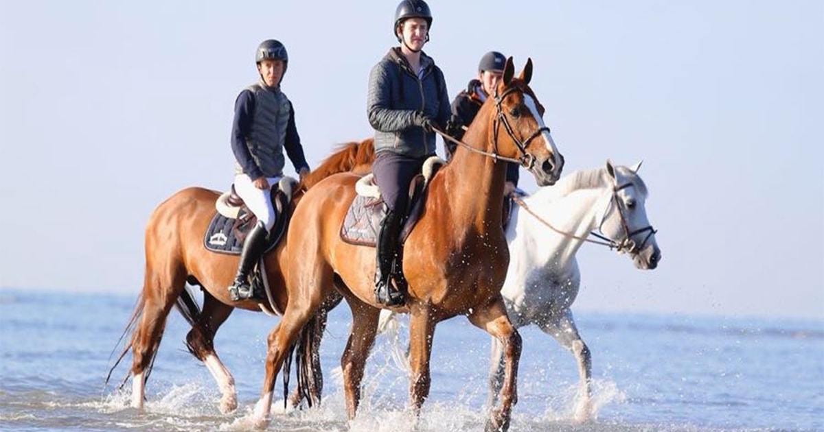 PASEO A CABALLO PLAYA MACAO PUNTA CANA CON SERVICIO DE RECOGIDA DEL ...
