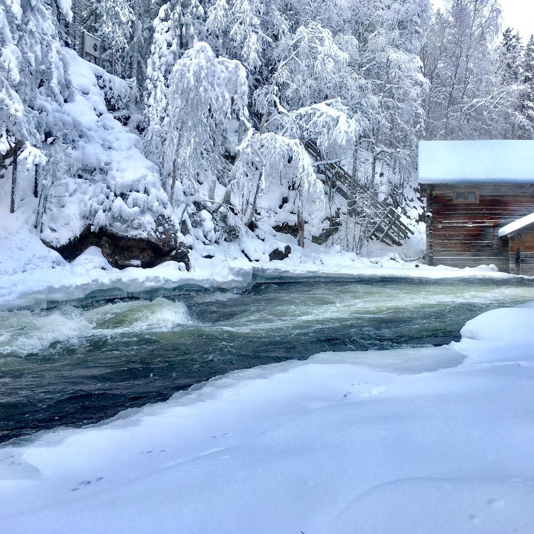 Ruka: Oulanka National Park Snowshoeing Tour | GetYourGuide